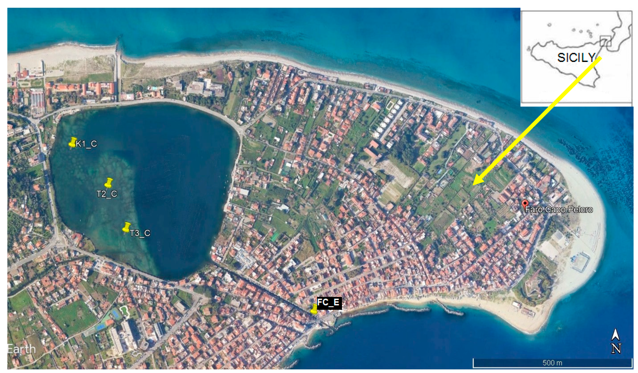 Trophic and Microbial Dynamics in a Mediterranean Transitional ...