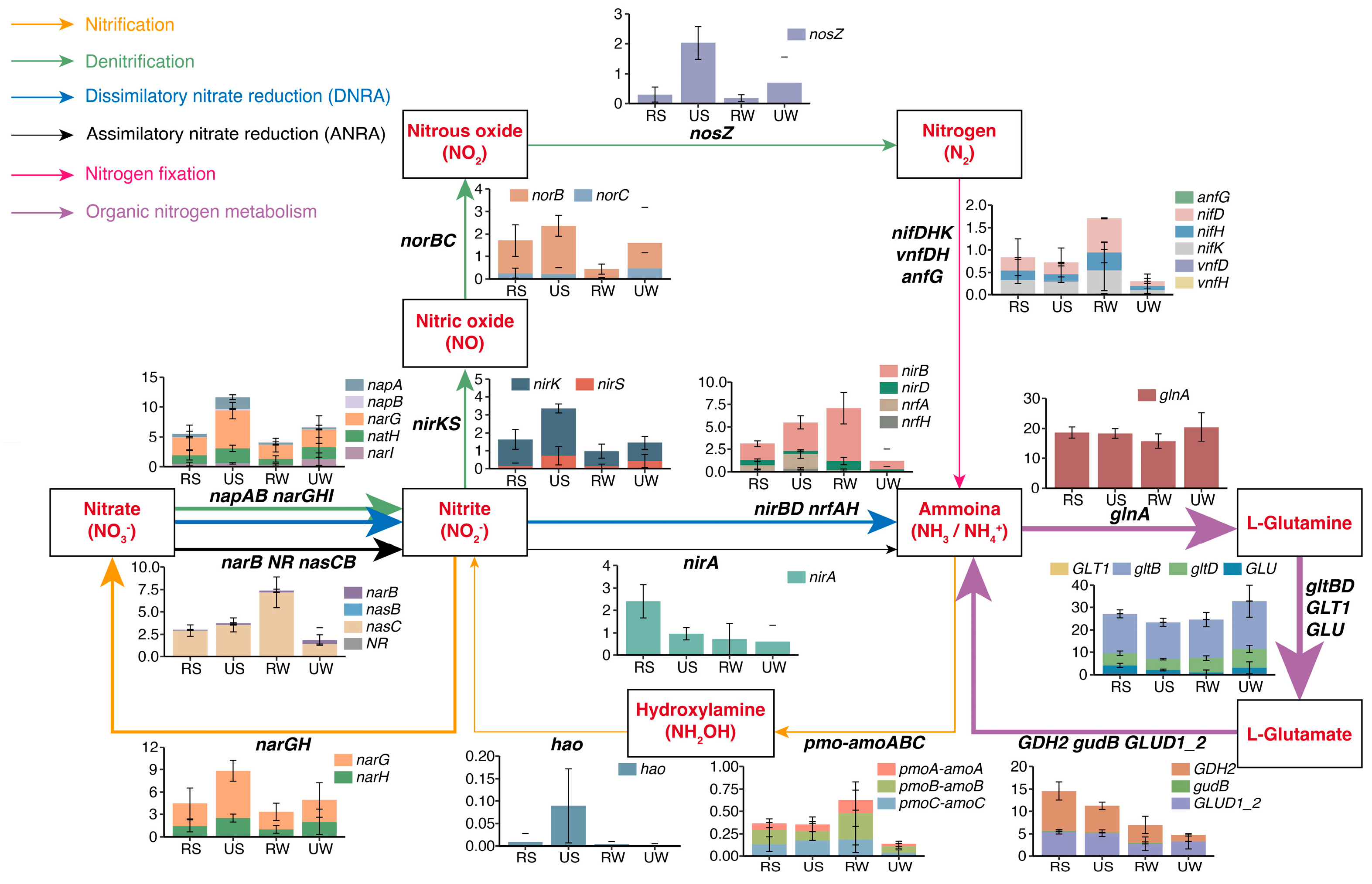 Urbanization-Induced Shifts in Microbial Functional Genes of Wetland ...