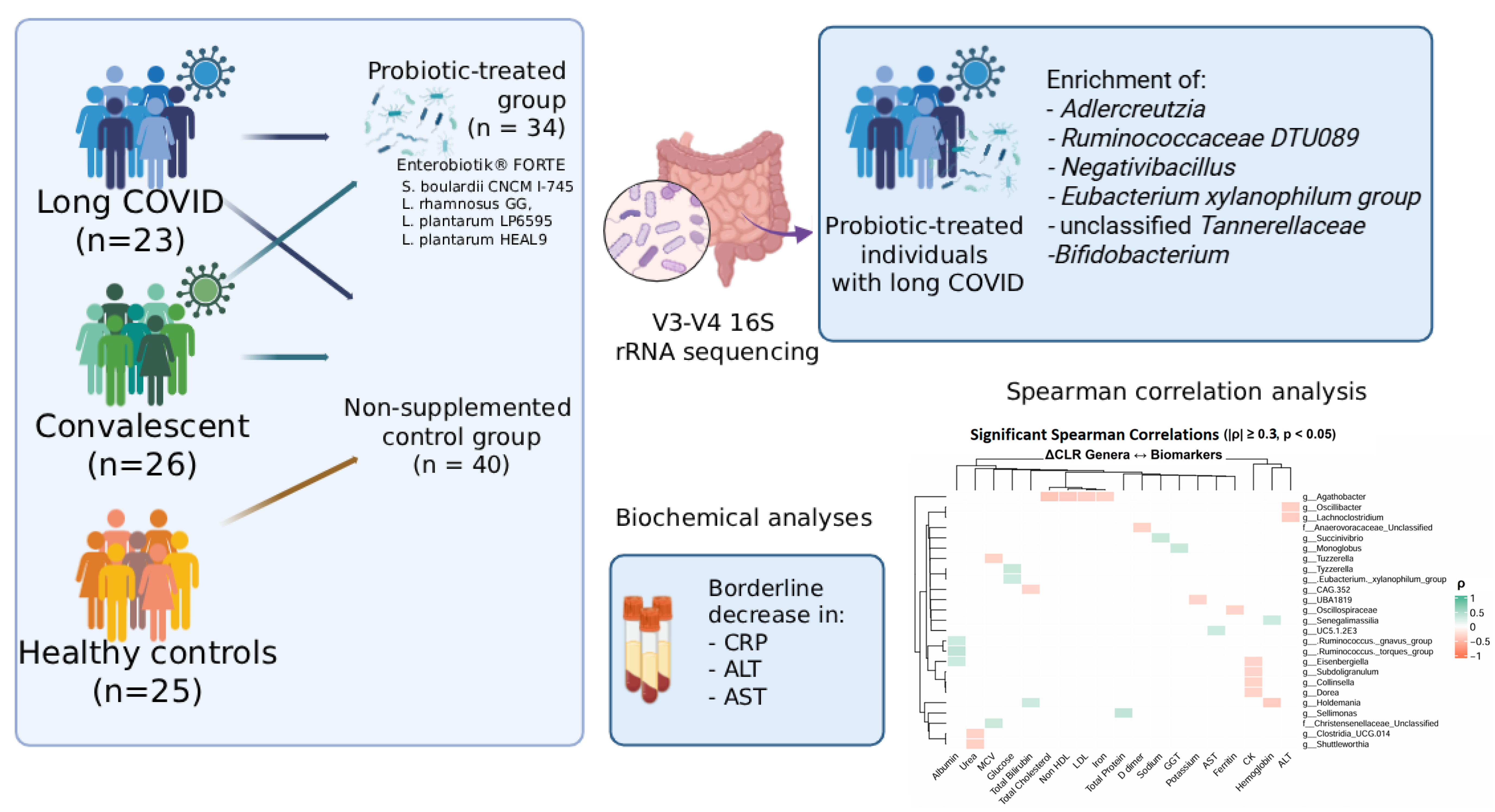 Multi-Strain Probiotic Intervention Modestly Modulates Microbial ...