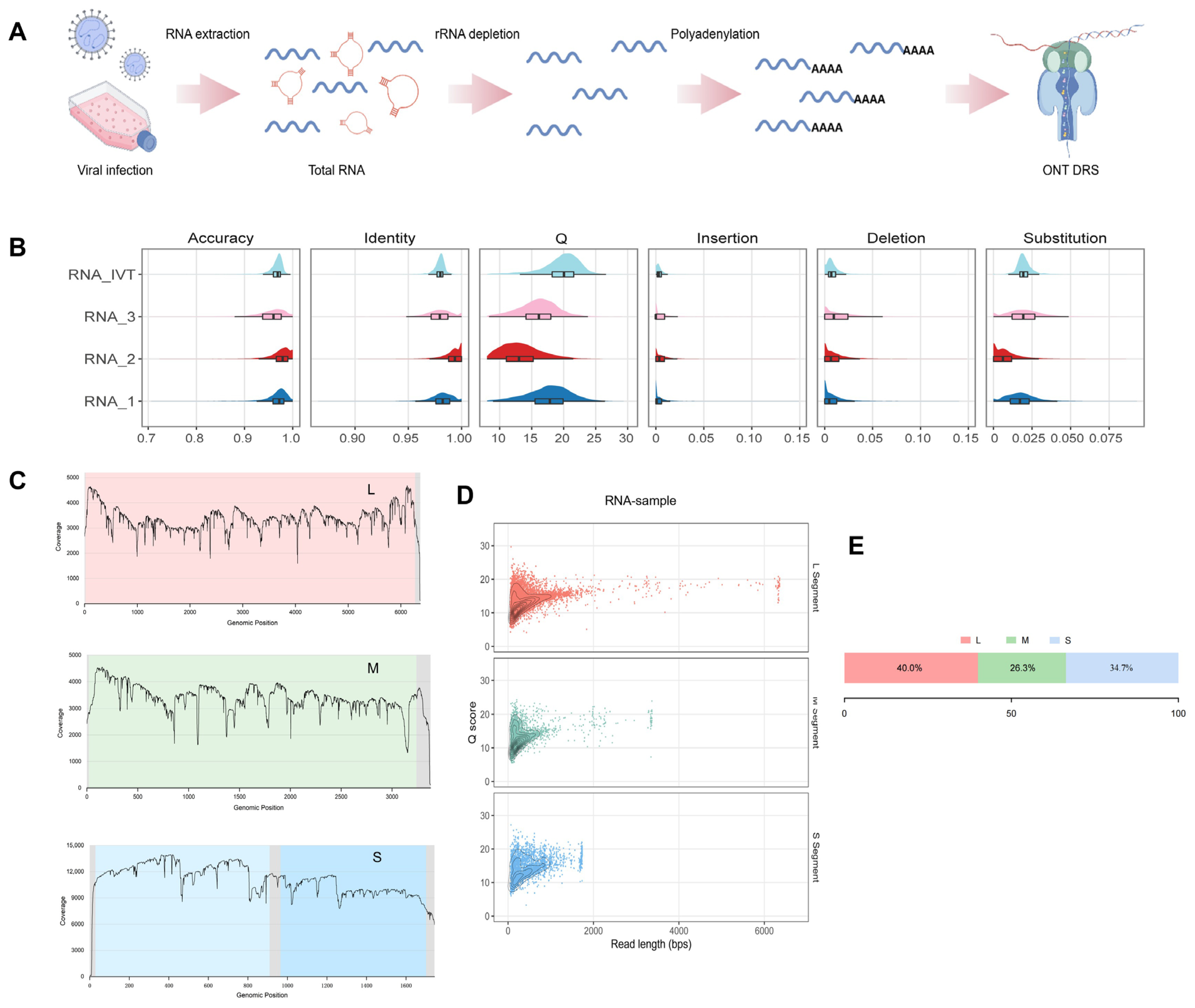 Transcriptomic and RNA Modification Landscape of Severe Fever with ...