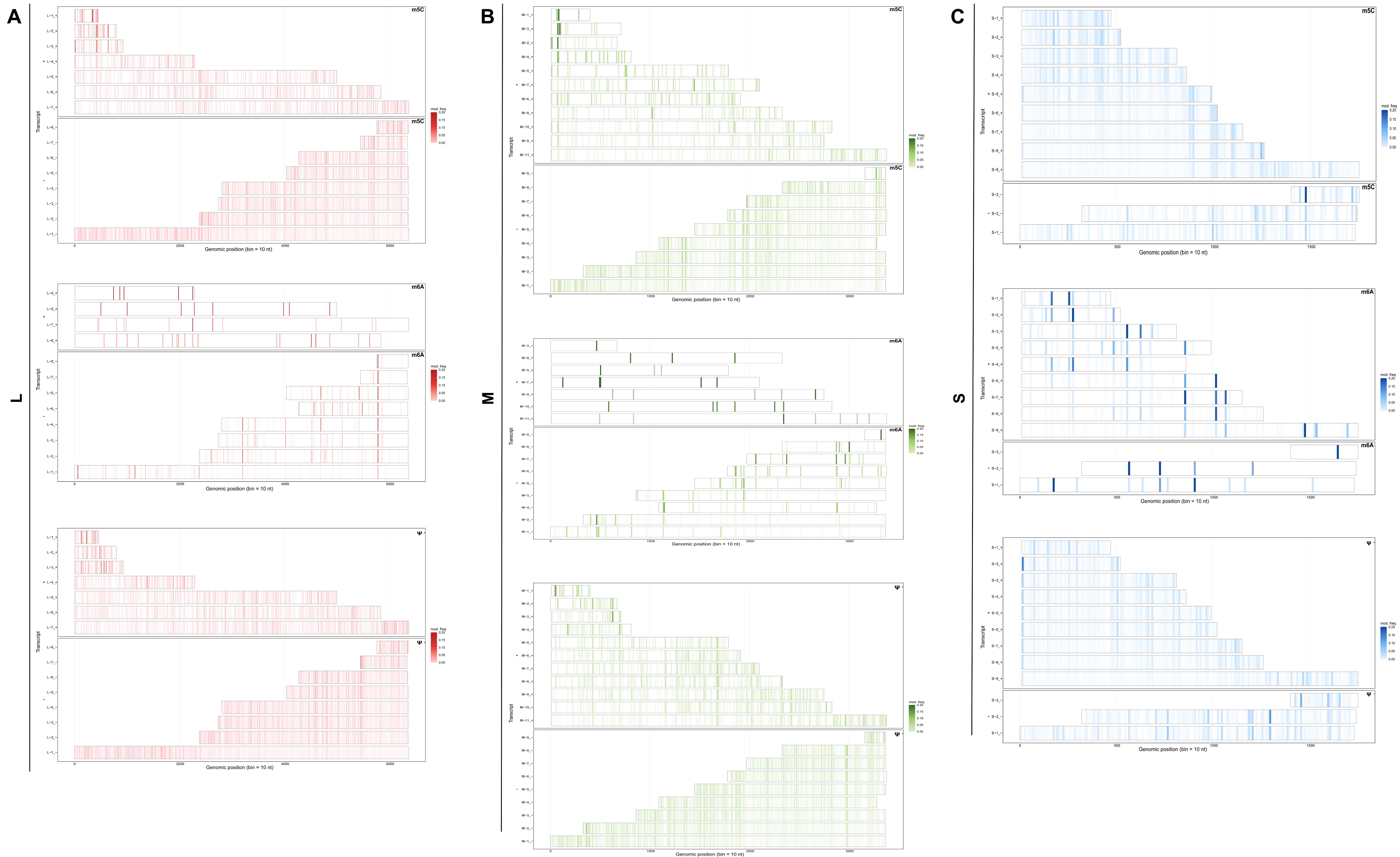 Transcriptomic and RNA Modification Landscape of Severe Fever with ...