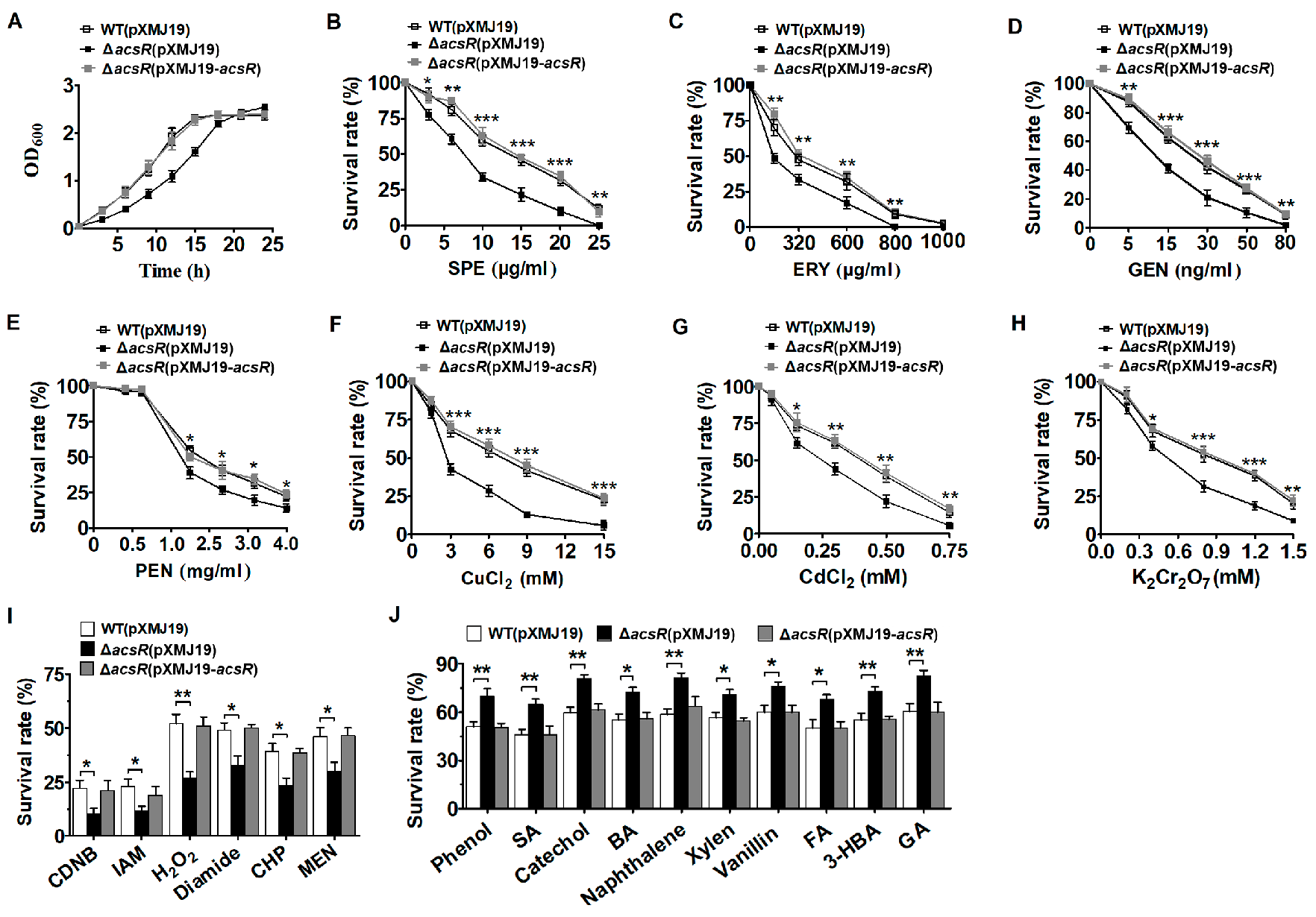 Functional Identification of AcsR, a MarR Family Transcriptional ...
