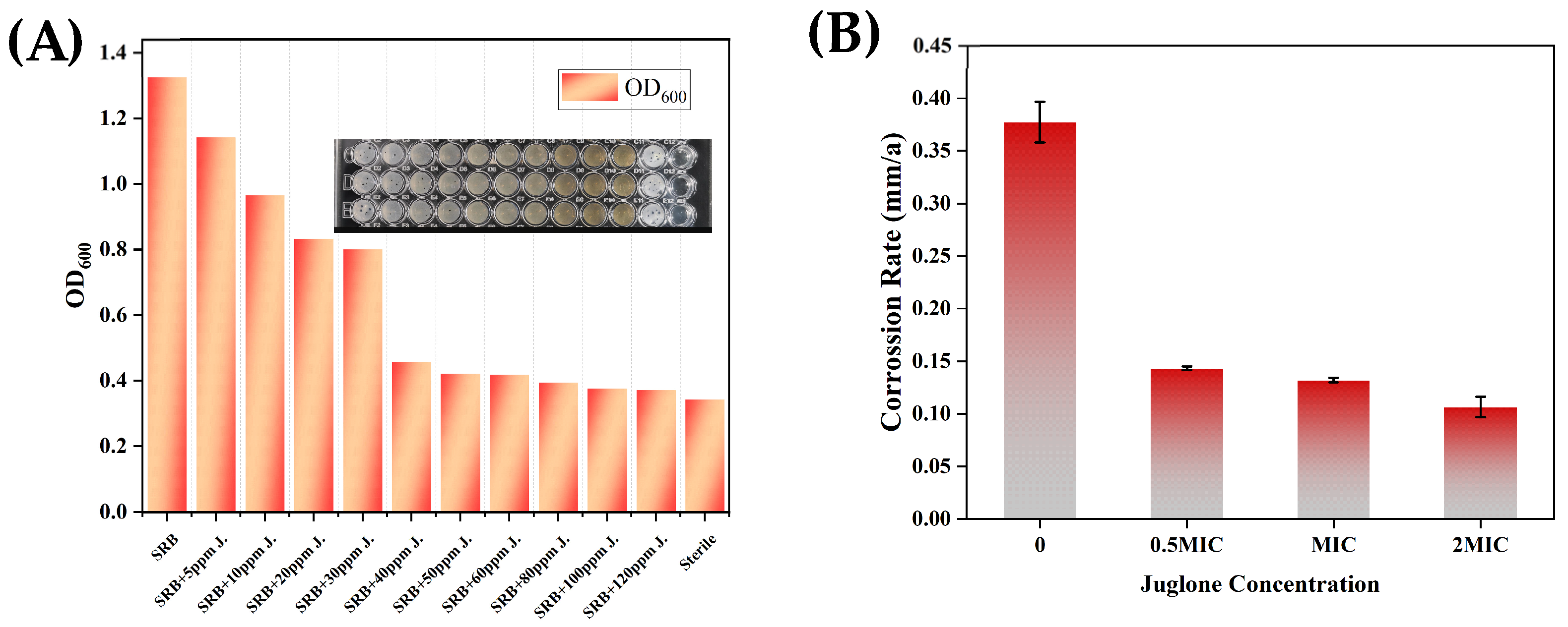 Performance of Juglone as a Natural Extract for Inhibiting SRB-Induced ...