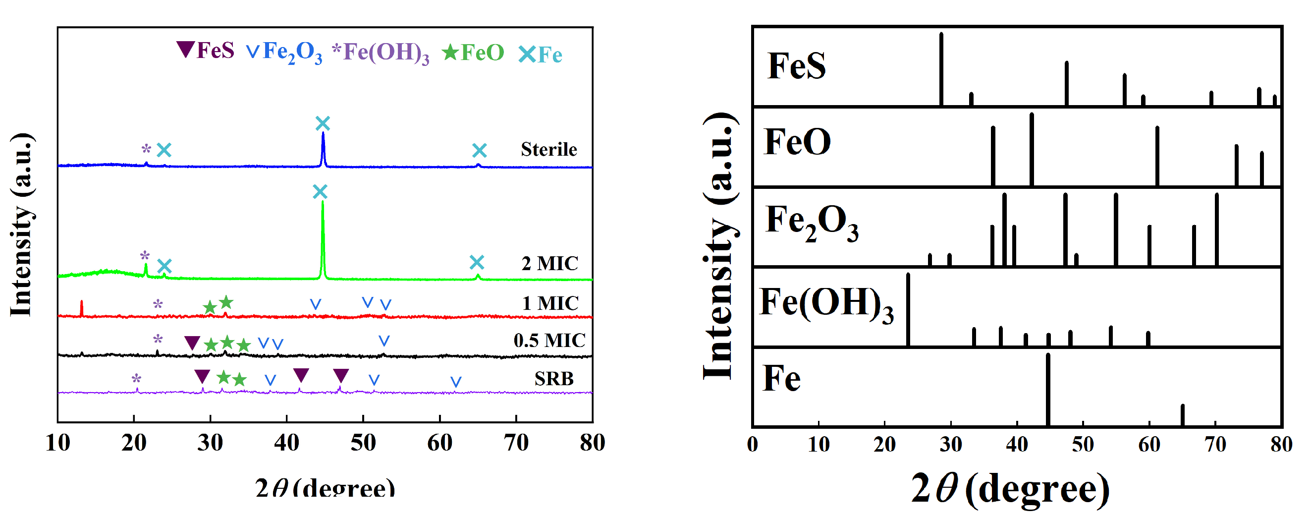 Performance of Juglone as a Natural Extract for Inhibiting SRB-Induced ...