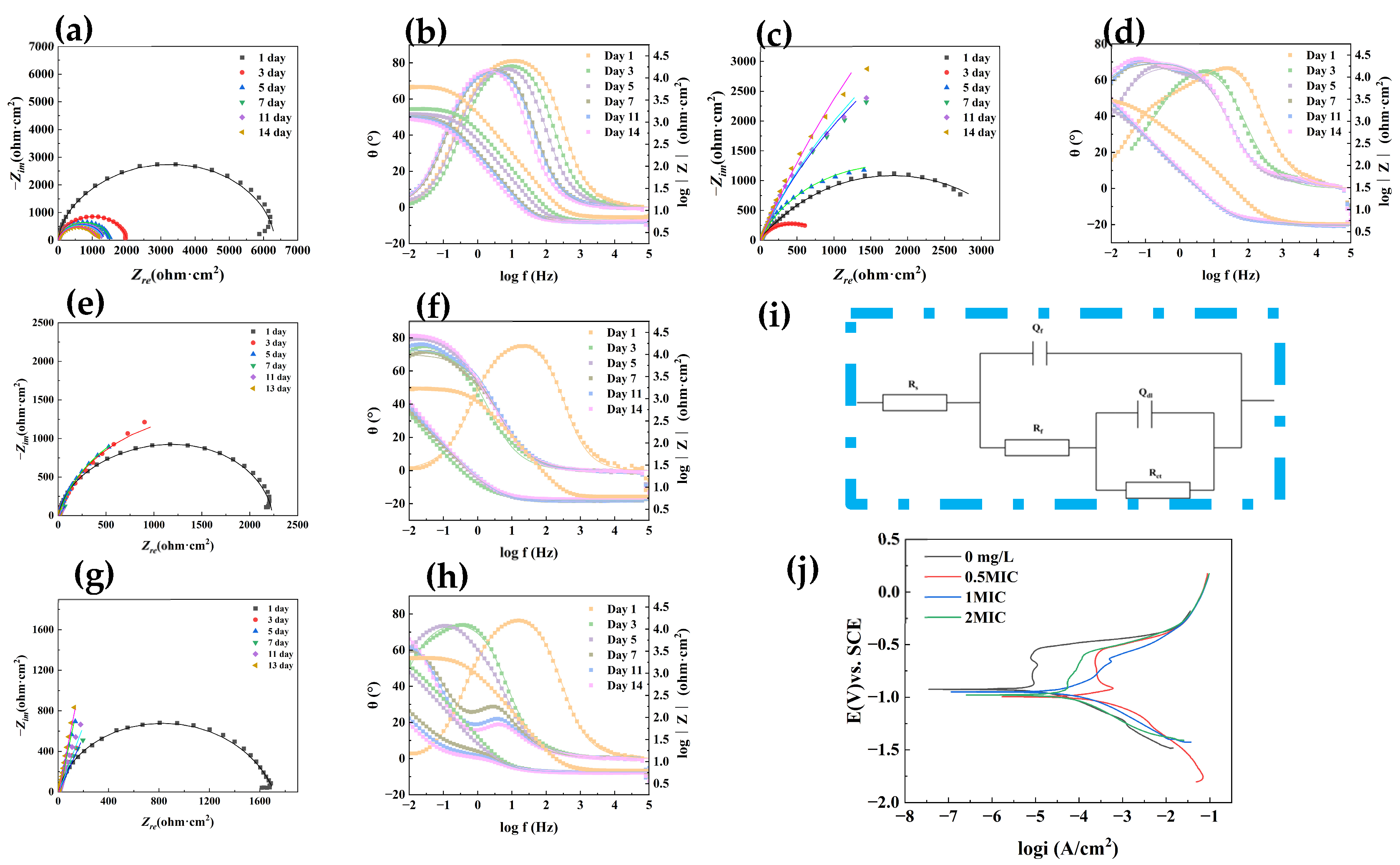 Performance of Juglone as a Natural Extract for Inhibiting SRB-Induced ...