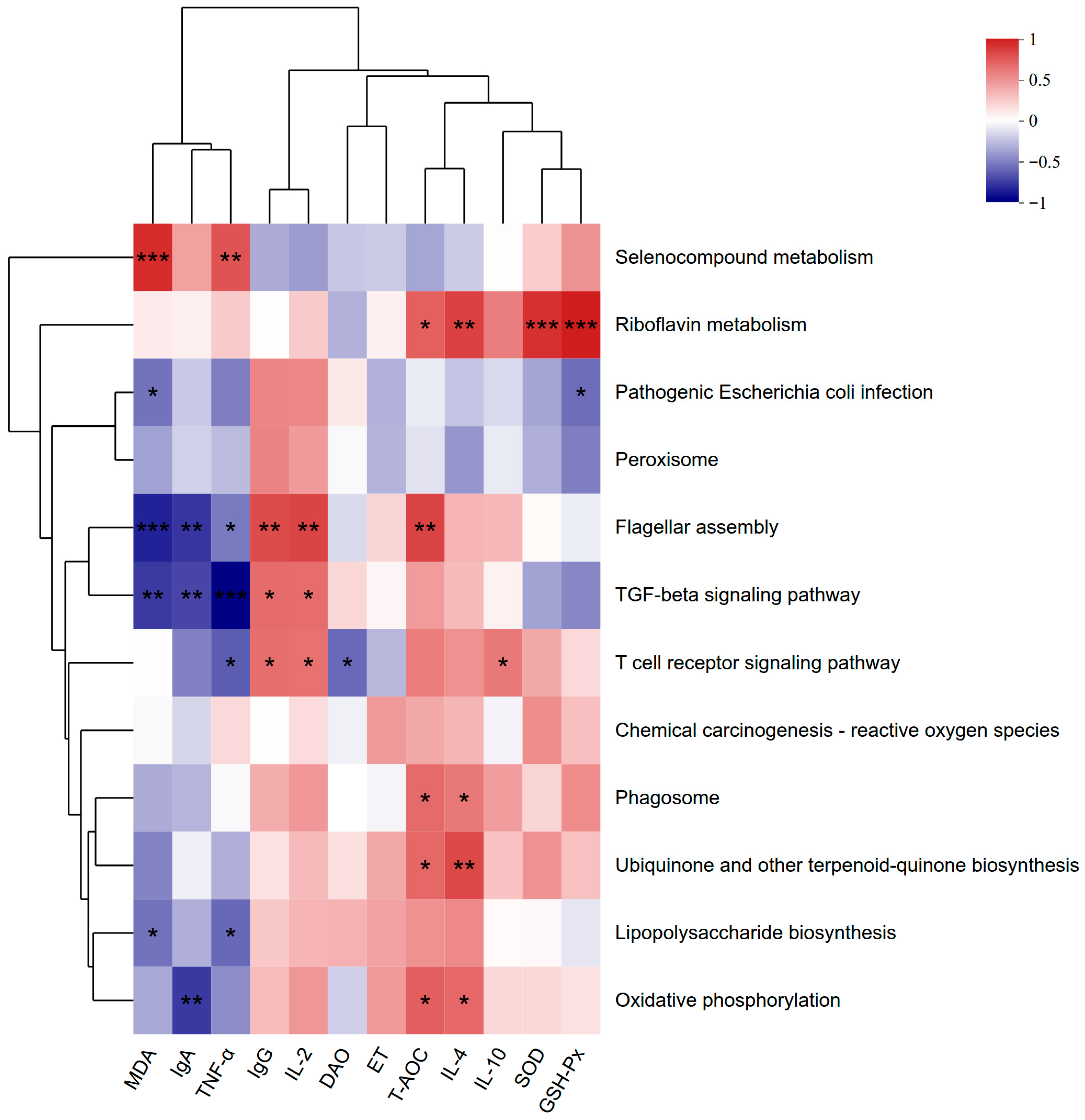 Compound Yeast Culture Reshapes Gut Microbiota and Functional Pathways ...
