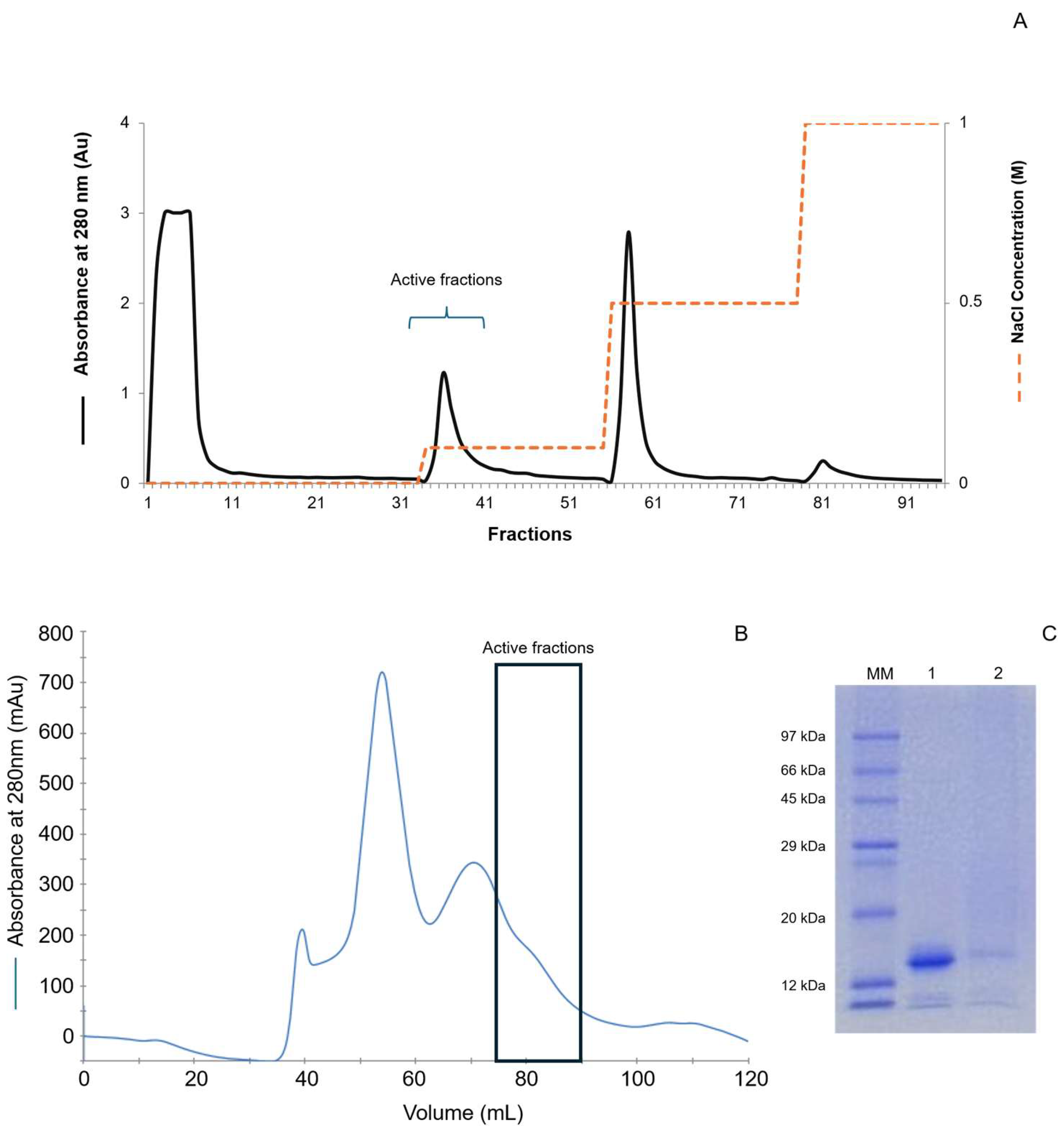 Structural Characterization of a Proto-Type Galectin from Cinachyrella ...