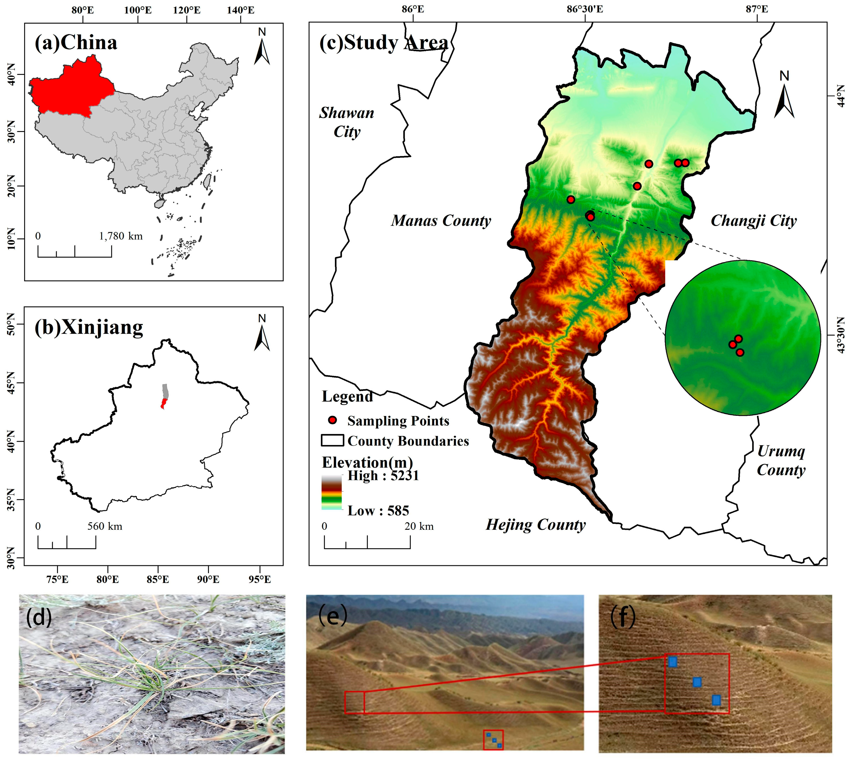 Elevational Variation in Rhizosphere Bacterial Assembly and Fine-Scale ...