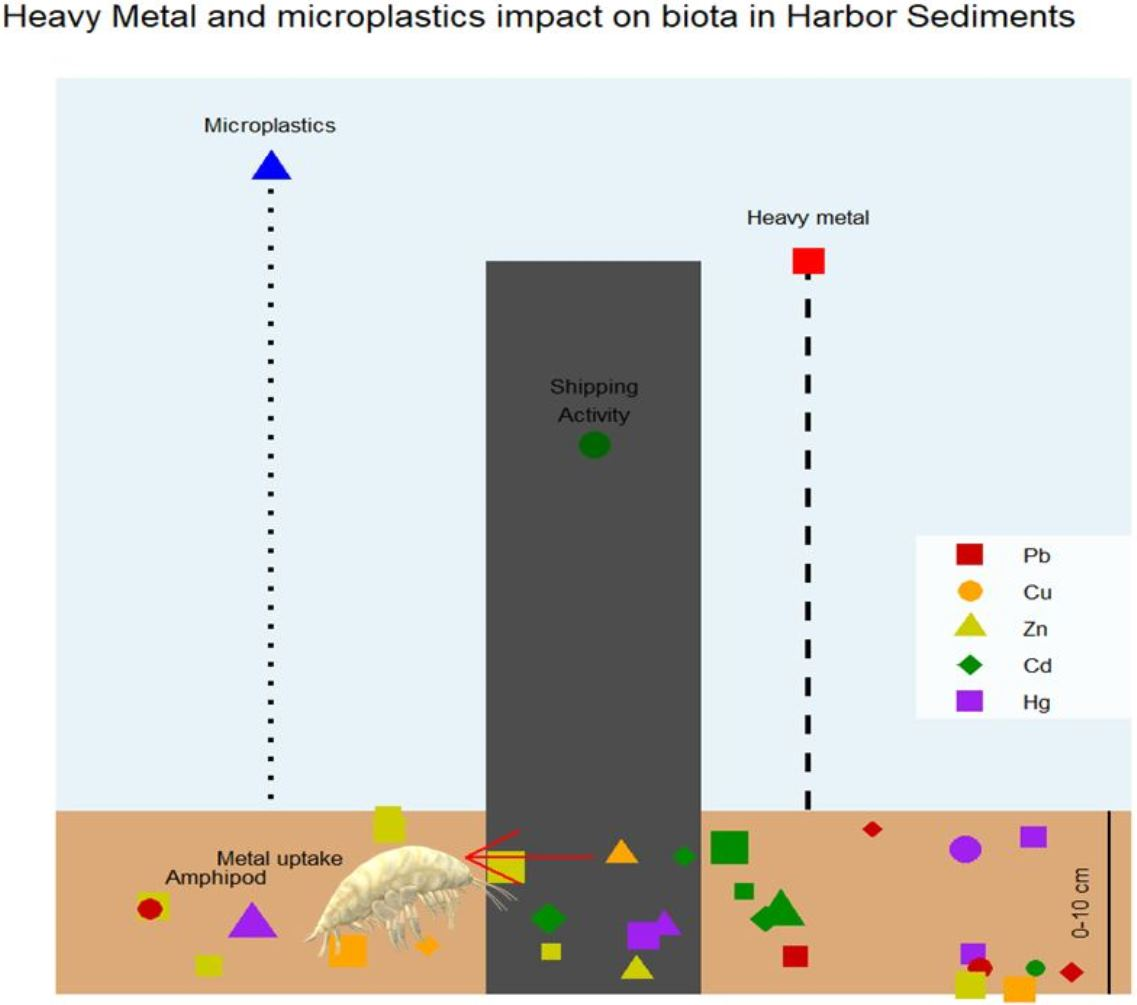 Assessment of Microplastic and Heavy Metal Contamination in Durban ...