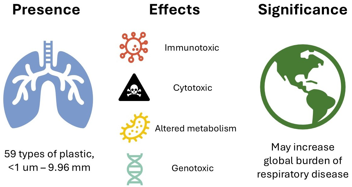 Micro- and Nanoplastic-Induced Respiratory Disease and Dysfunction: A ...
