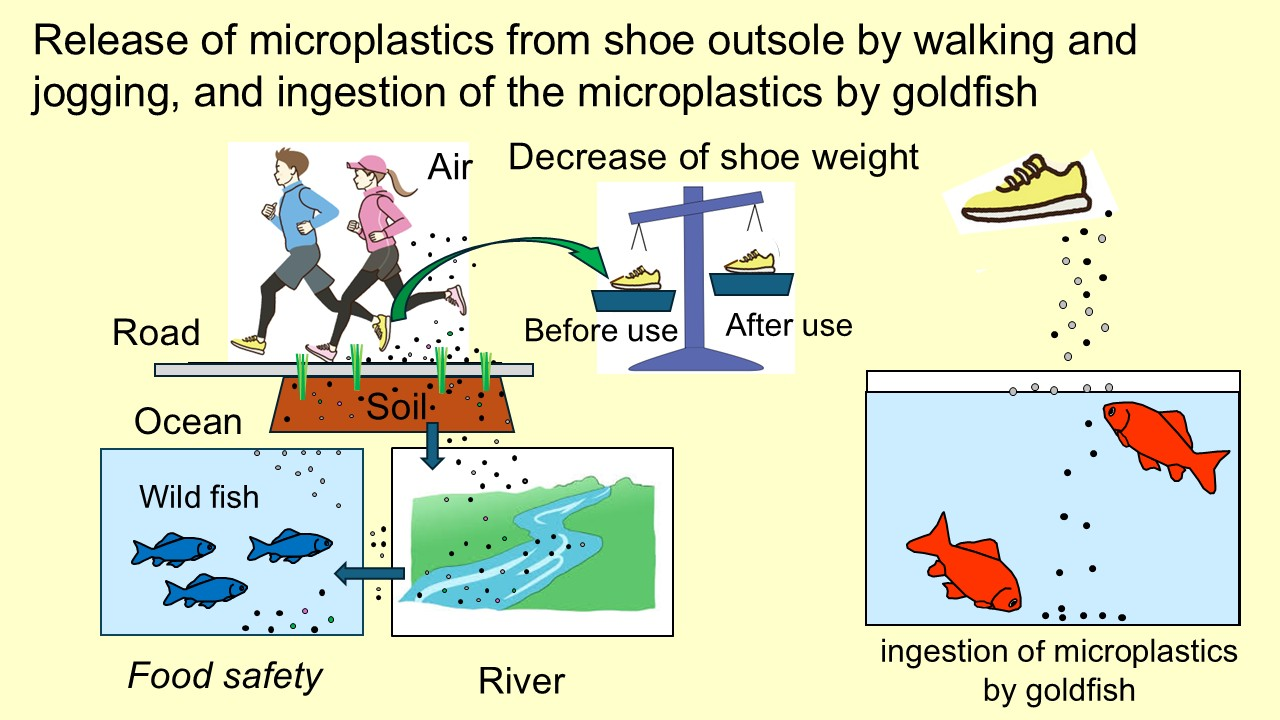 Release of Microplastics from Shoe Outsoles into the Environment by ...