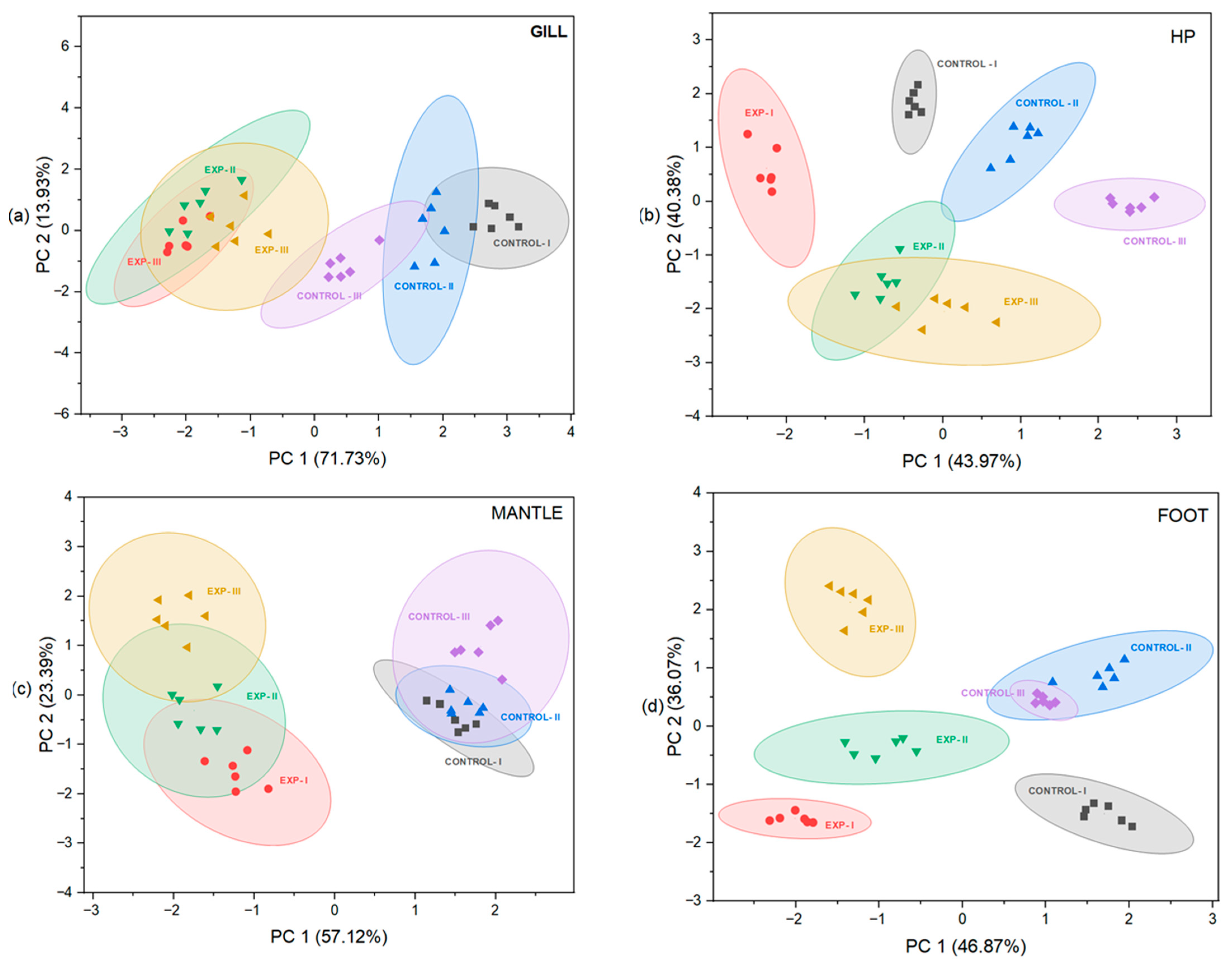 Toxic Impact of Polystyrene Microplastics (PS-MPs) on Freshwater Mussel ...