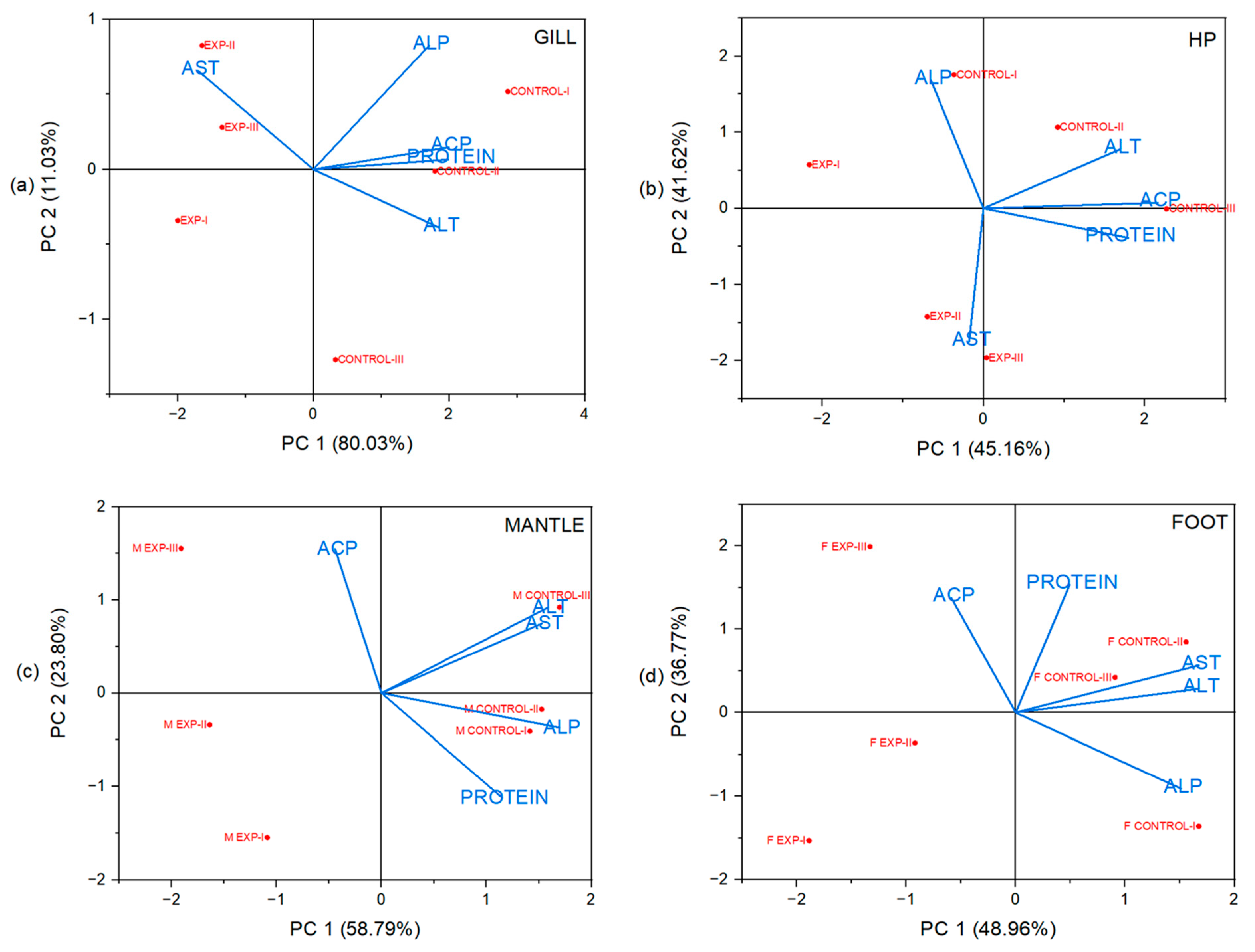 Toxic Impact of Polystyrene Microplastics (PS-MPs) on Freshwater Mussel ...
