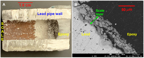 Worth a Closer Look: Raman Spectra of Lead-Pipe Scale