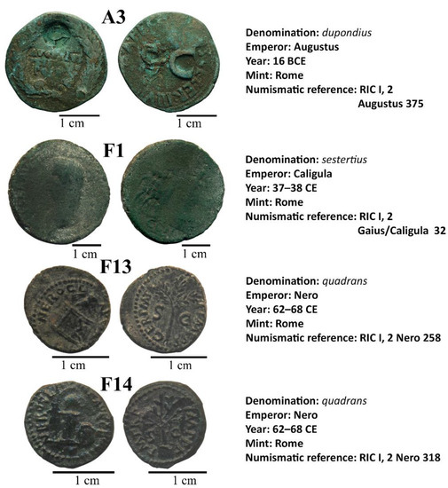 Micro and Nanoscale Structures and Corrosion Patterns in Brass: The ...