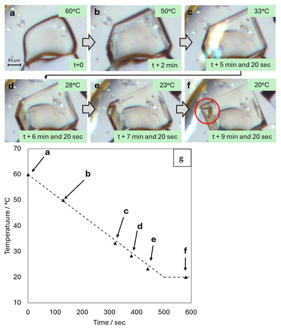 NaClO3 Crystal Growth and Dissolution by Temperature Cycling in a ...