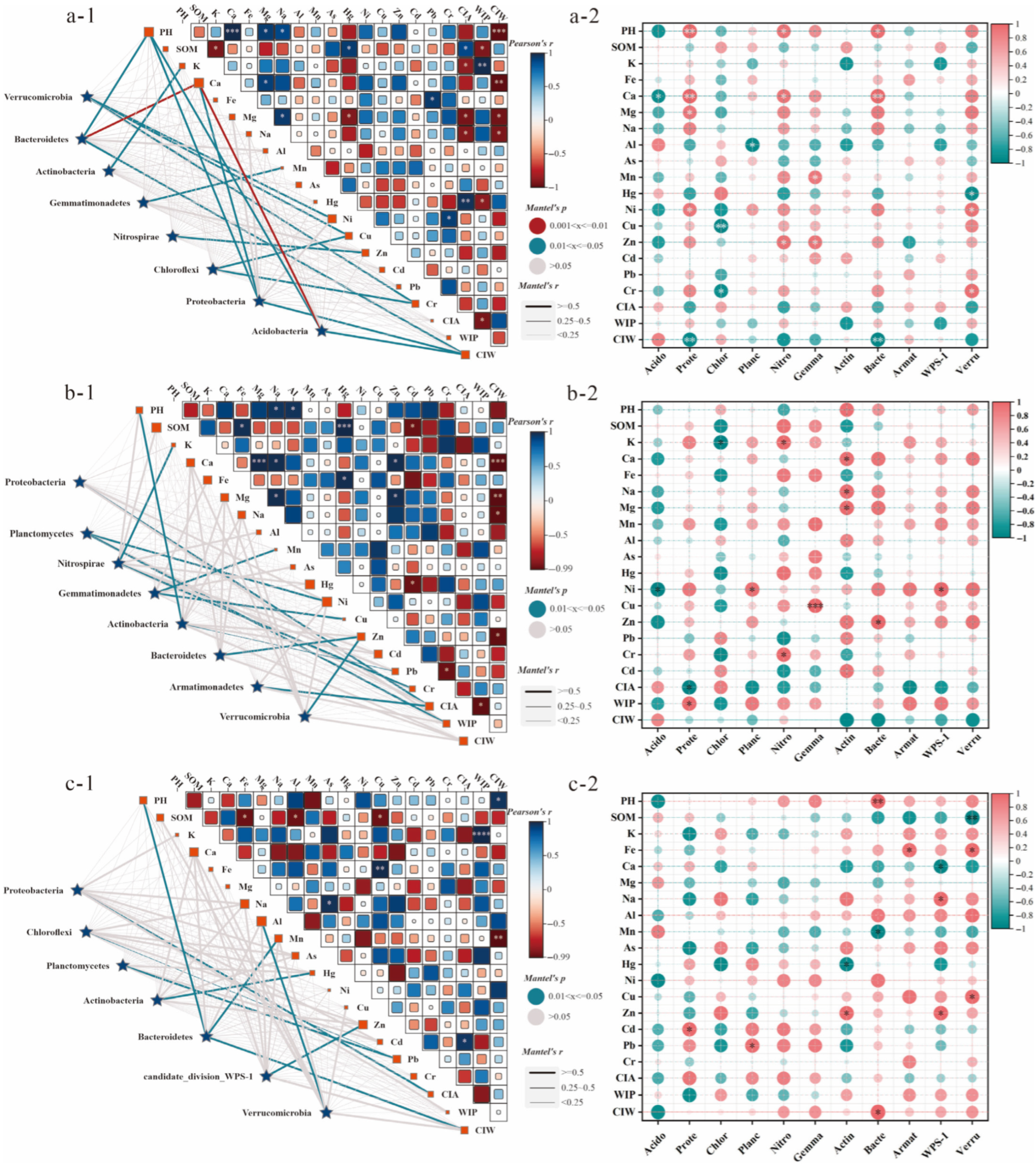 Insights into Elemental Migration-Enrichment Patterns and Microbial ...