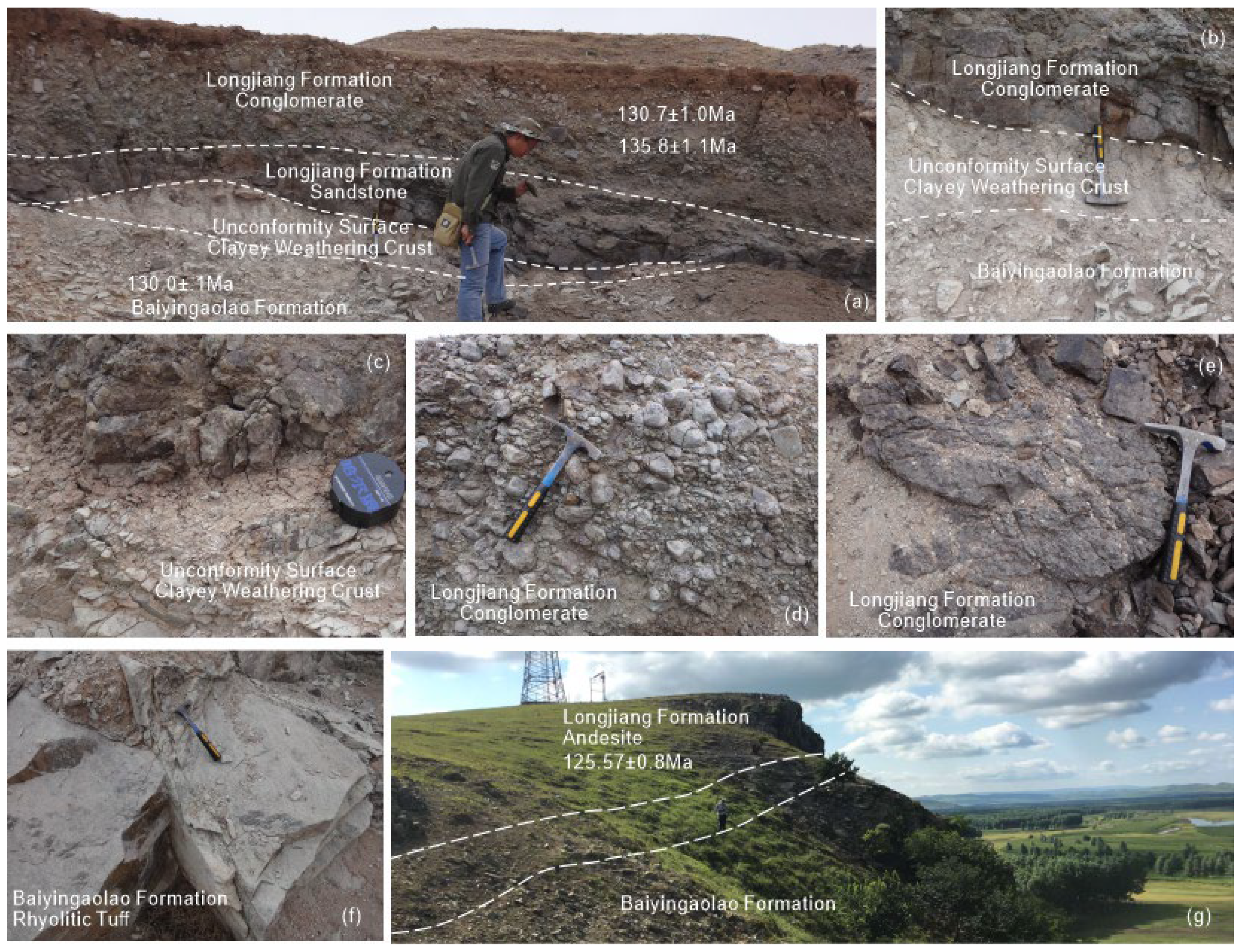 Age of the Early Cretaceous Longjiang Formation in the Central Great ...