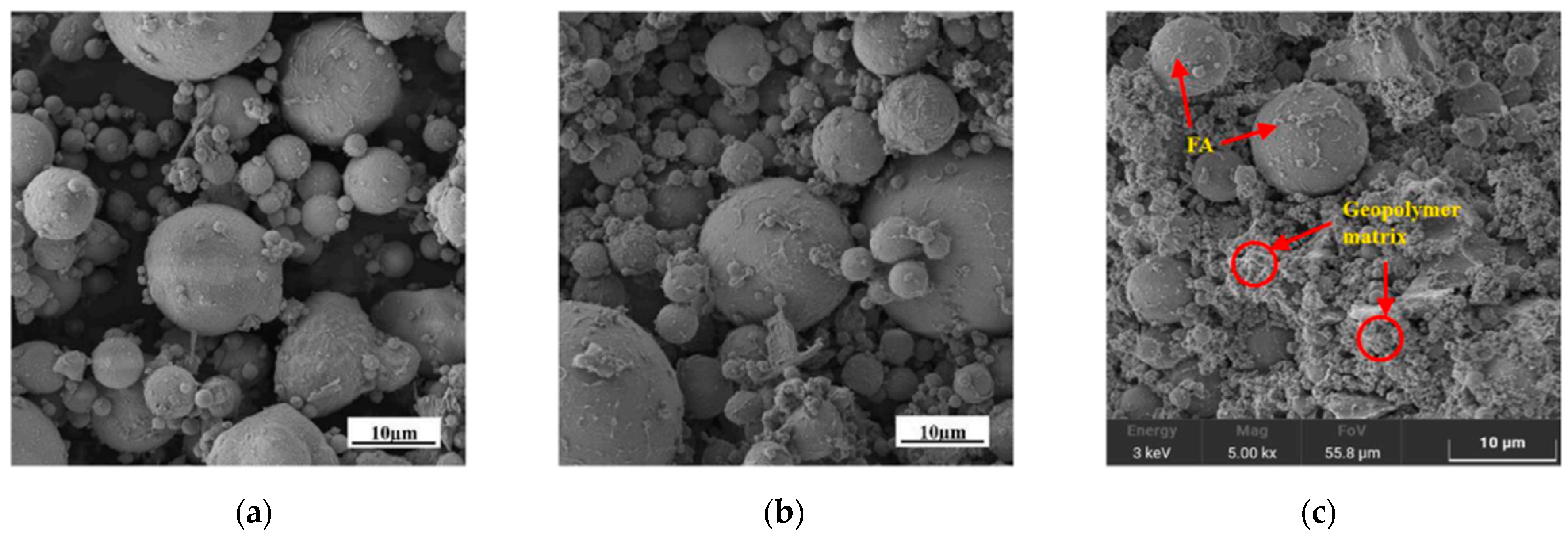 Materials for Acid Activation: New Principles and Recent Advances