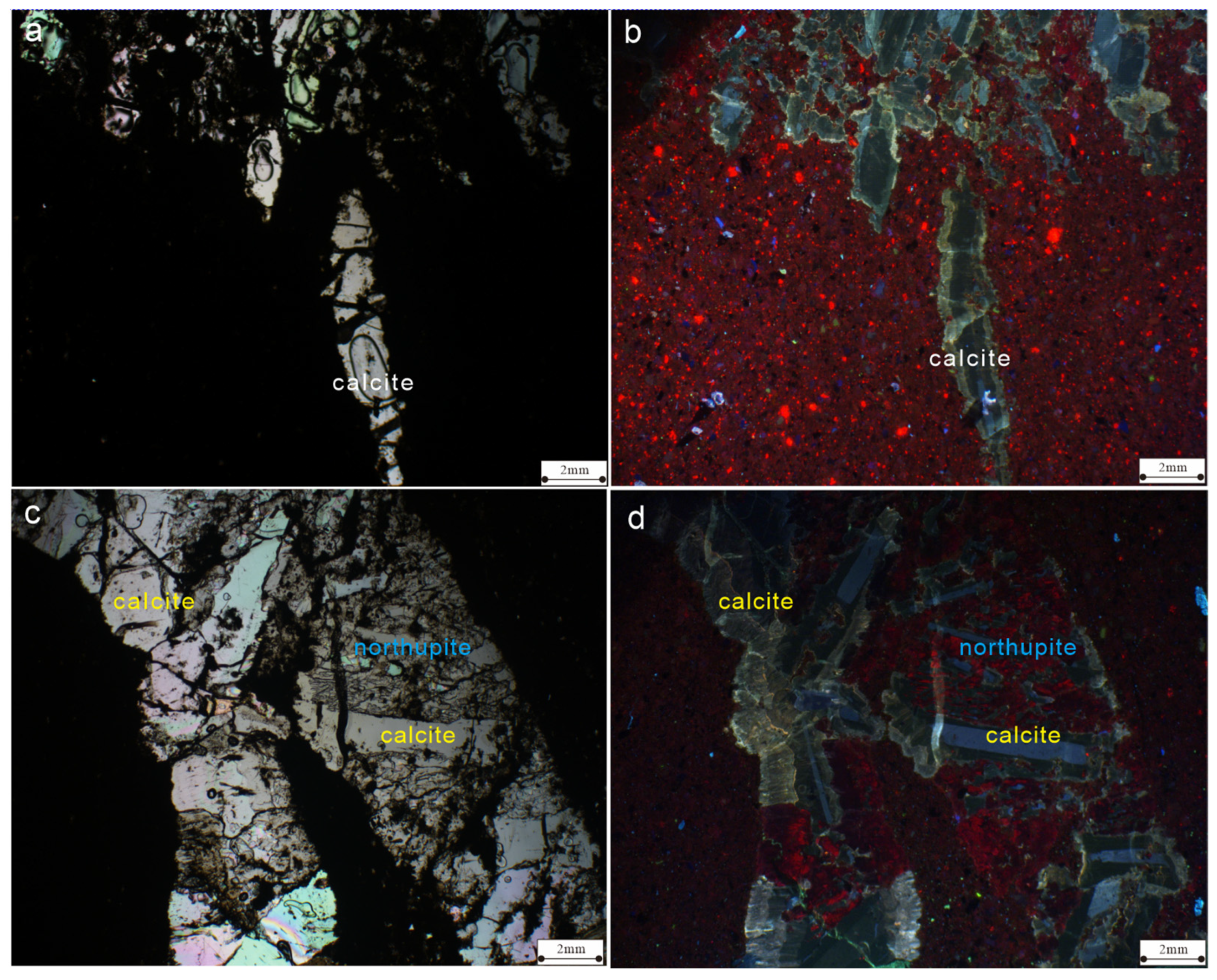 Fracture Development in Alkaline Lacustrine Shales: Insights from Multi ...