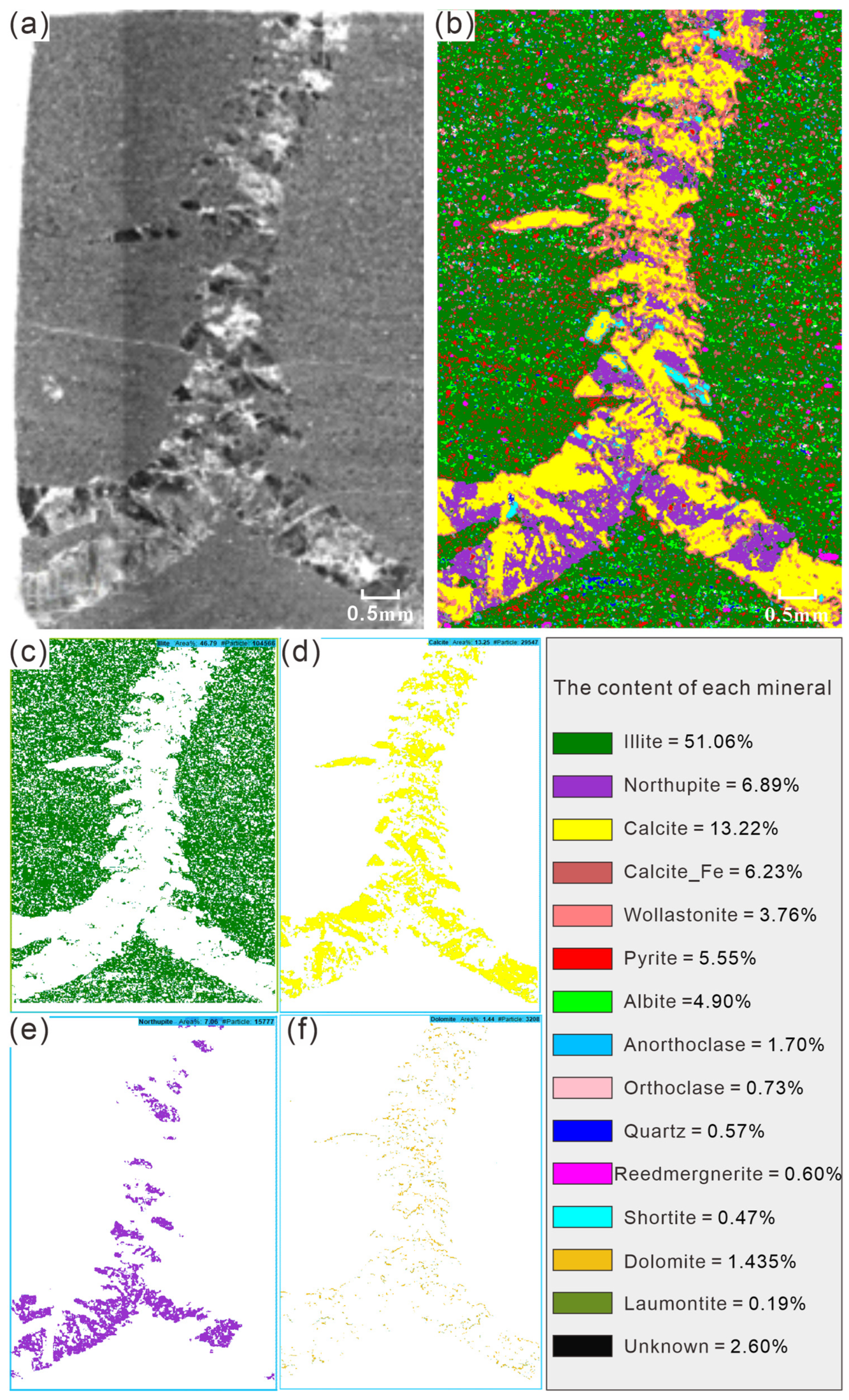 Fracture Development in Alkaline Lacustrine Shales: Insights from Multi ...