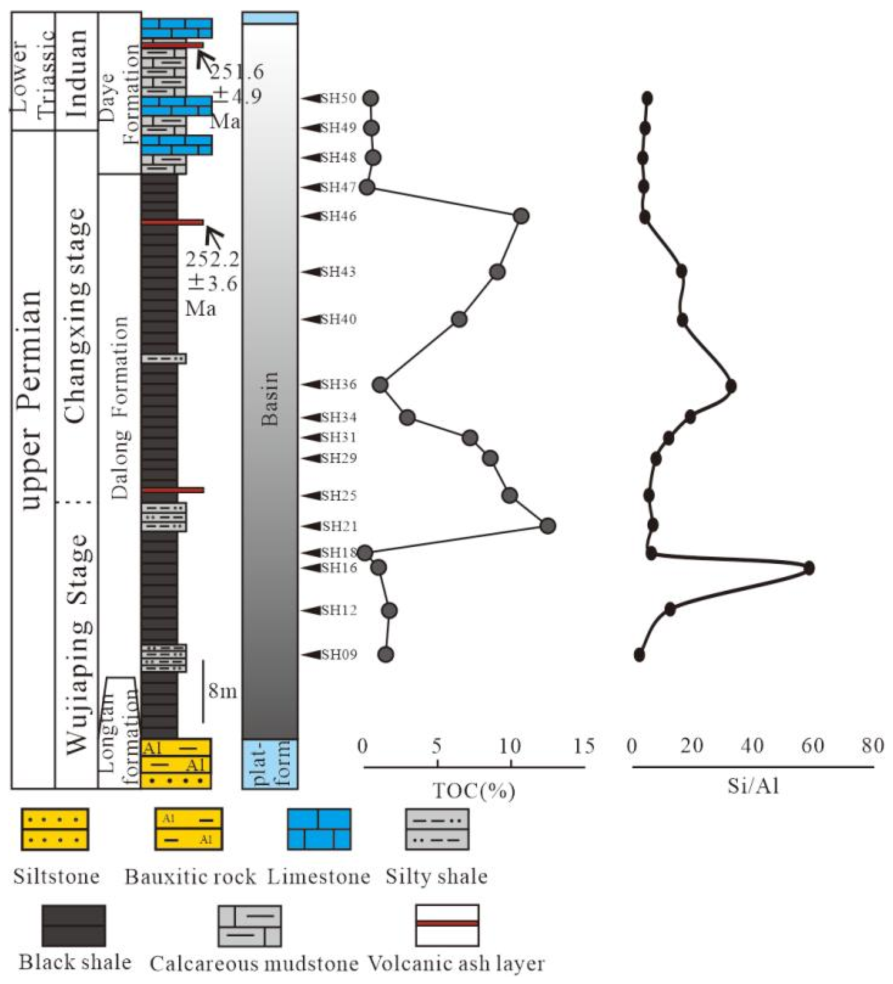 Pore Development Characteristics of Shales in the Dalong Formation ...