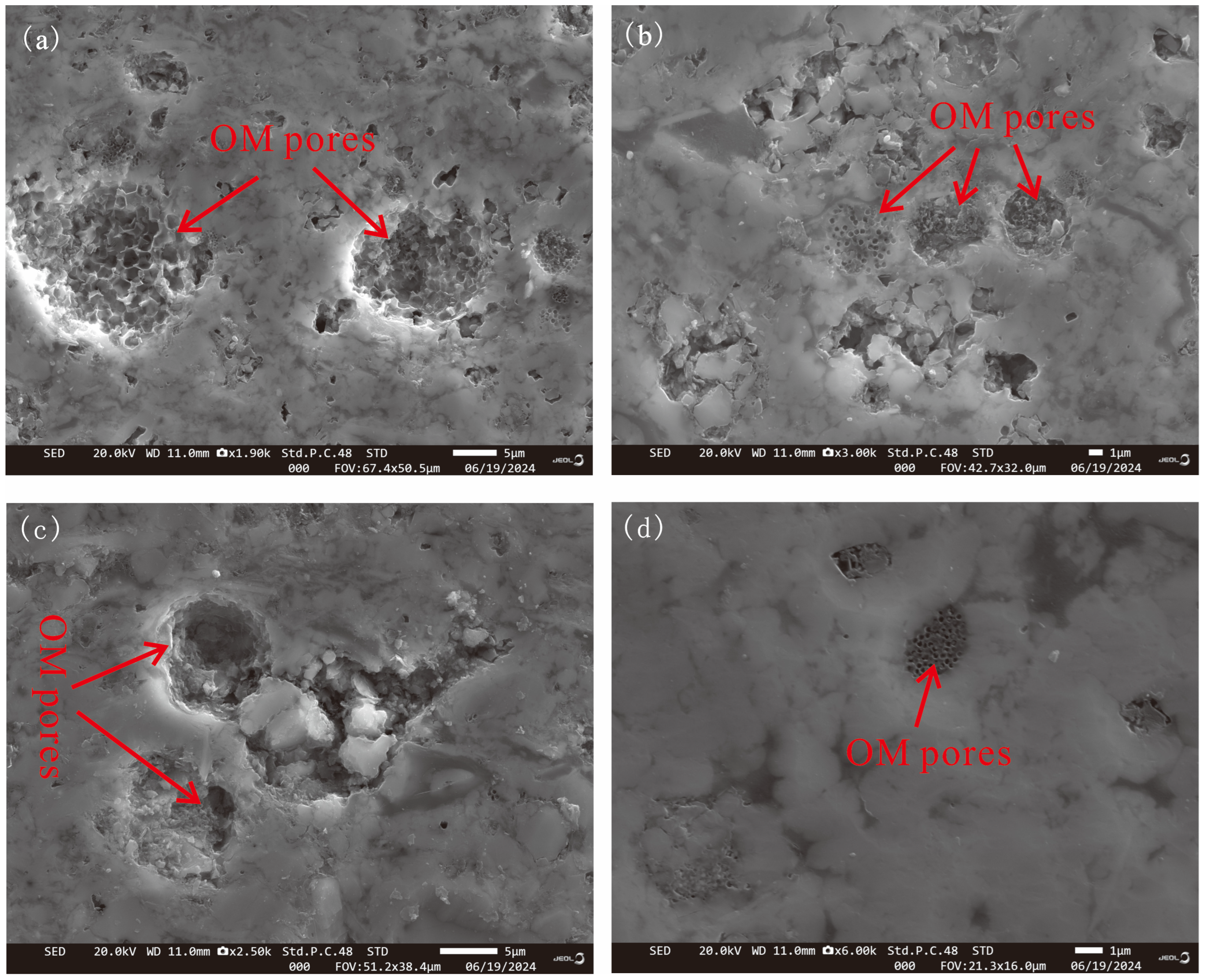 Pore Development Characteristics of Shales in the Dalong Formation ...