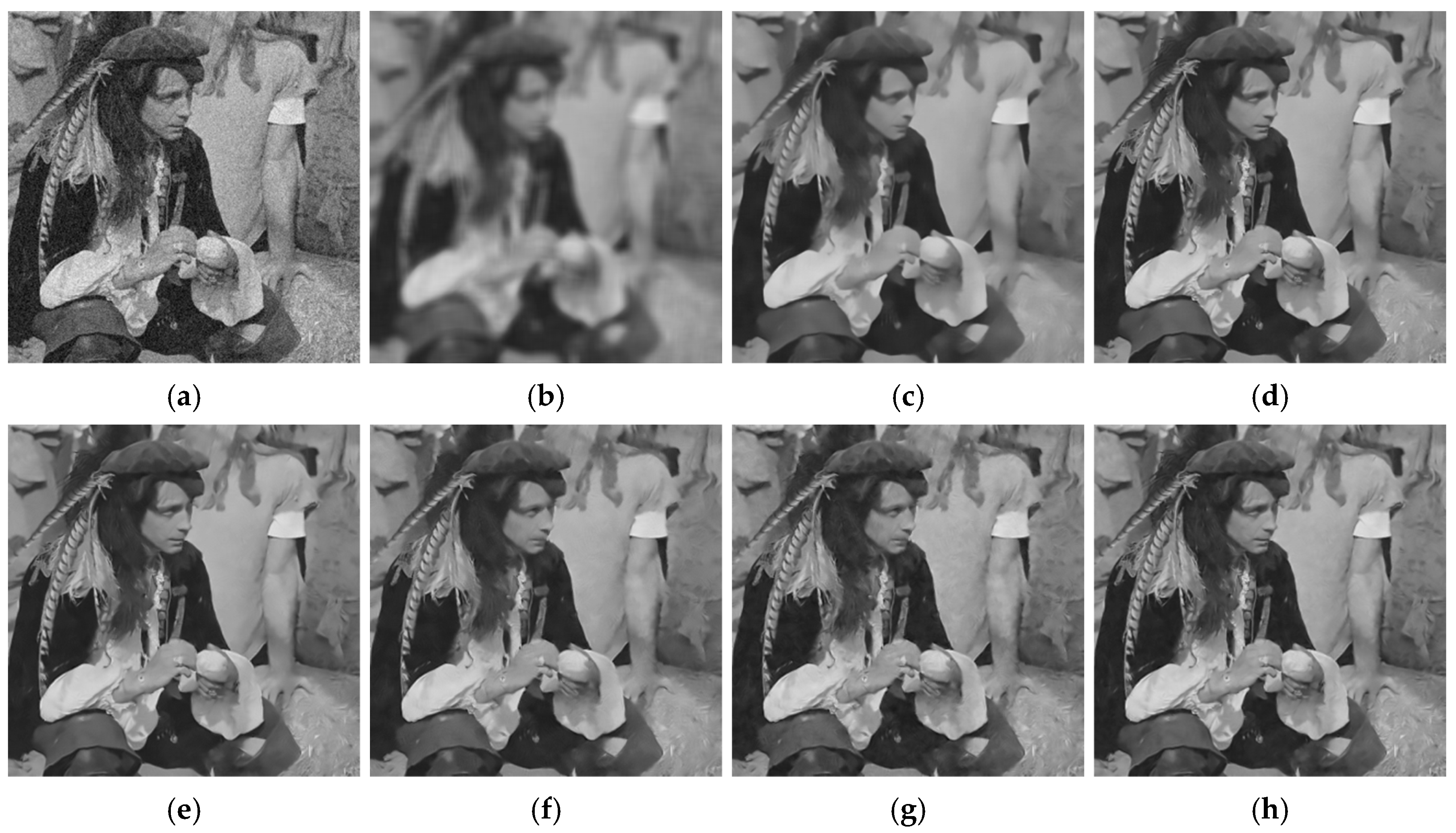 Structural-Tensor-Driven Dynamic Window and Dual Kernel Weighting for a ...