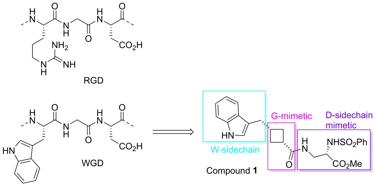 Methyl (S)-3-((1r*,3R*)-3-((1H-indol-3-yl)methyl)cyclobutane-1 ...