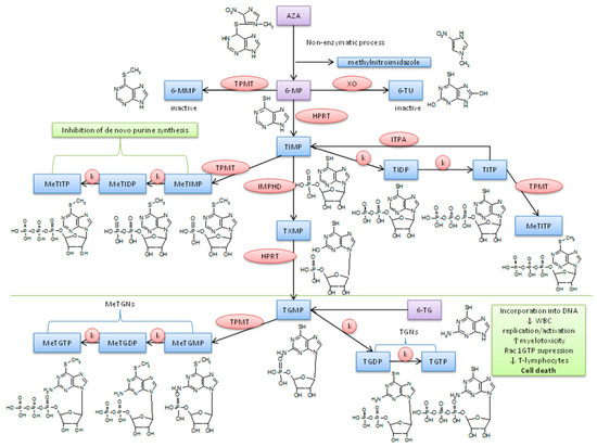 Analytical and Sample Preparation Protocol for Therapeutic Drug ...