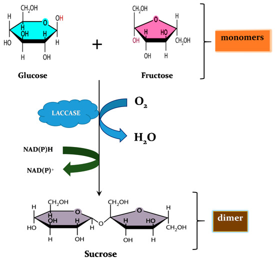Molecules Free Full Text Aptitude Of Oxidative Enzymes For
