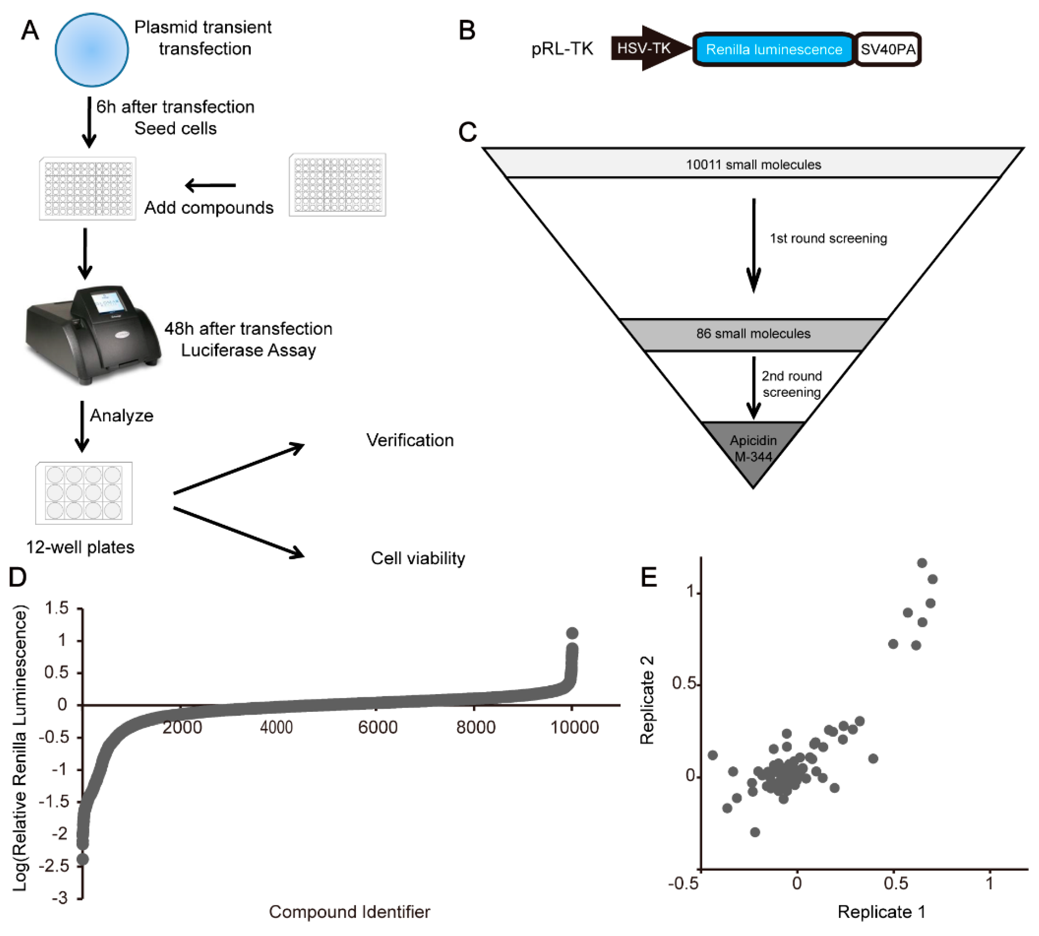 High Throughput Screening Identifies Two Novel Small Molecule Enhancers High Throughput Screening Identifies Two Novel Small Molecule Enhancers