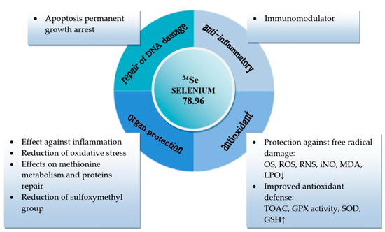 Therapeutic Potential of Selenium as a Component of Preservation ...