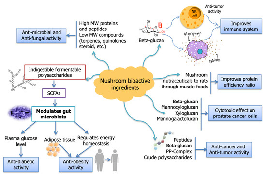 Edible Mushrooms as Functional Ingredients for Development of Healthier ...
