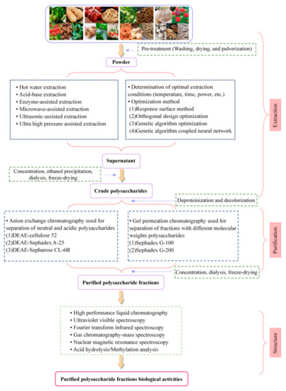 Polysaccharides from Medicine and Food Homology Materials: A Review on ...
