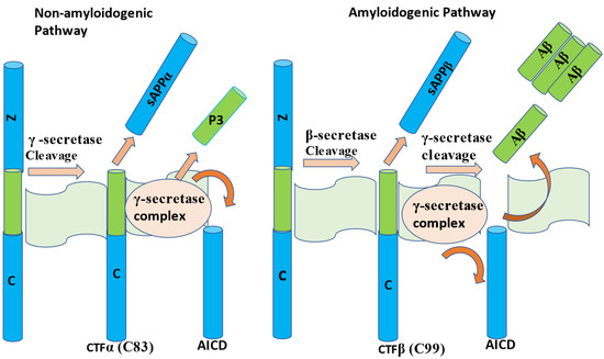 Molecules | Free Full-Text | Allostery Inhibition of BACE1 by Psychotic ...