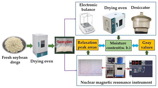 Water Status and Predictive Models of Moisture Content during Drying of ...