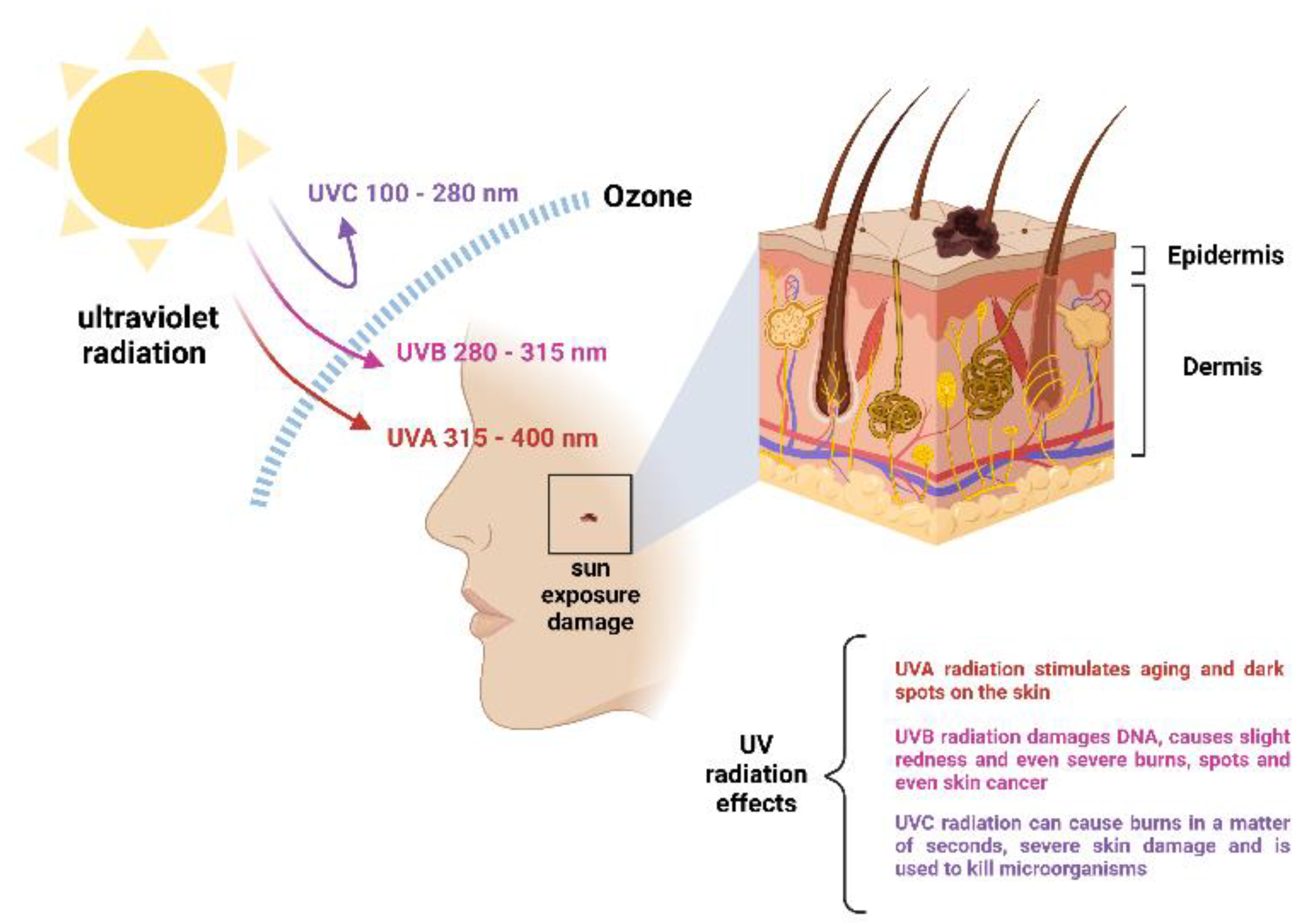 Molecules Free Full Text Effects Of UV And UV vis Irradiation On Molecules Free Full Text Effects Of UV And UV vis Irradiation On