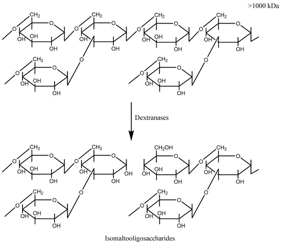 Molecules | Free Full-Text | Marine Bacterial Dextranases: Fundamentals ...