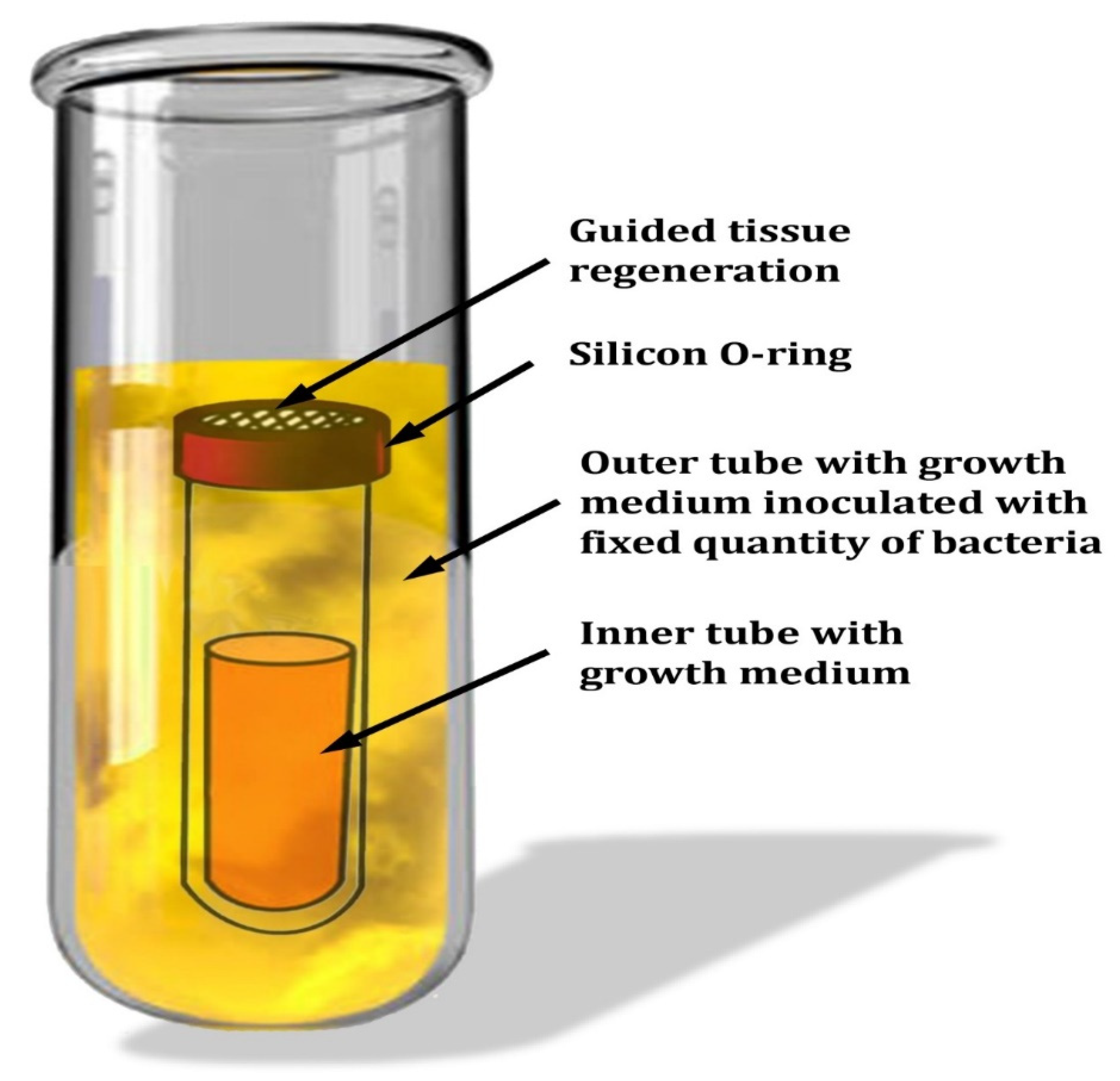 Molecules Free Full Text Streptomyces Rochei MS 37 As A Novel Molecules Free Full Text Streptomyces Rochei MS 37 As A Novel