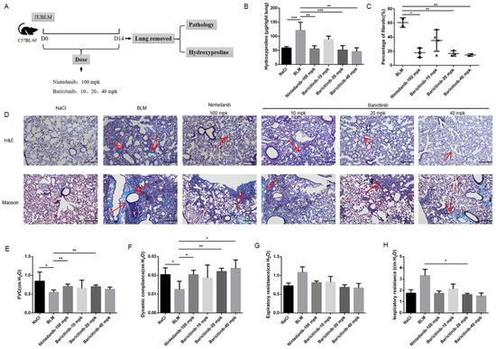 Baricitinib Attenuates Bleomycin-Induced Pulmonary Fibrosis in Mice by ...