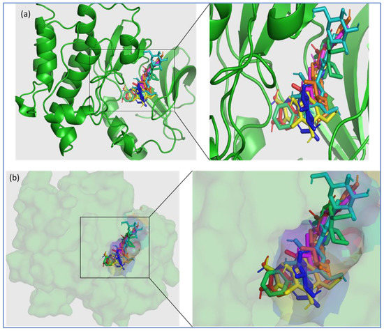 Inhibitory Potential of the Ocimum sanctum Phytochemicals on Bruton’s ...