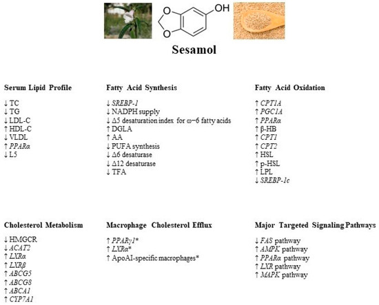 Hypolipidemic and Anti-Atherogenic Effects of Sesamol and Possible ...