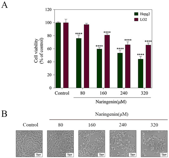 Naringenin Induces HepG2 Cell Apoptosis via ROS-Mediated JAK-2/STAT-3 ...
