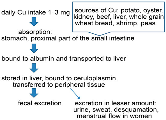 The Impact of Copper Ions on the Activity of Antibiotic Drugs