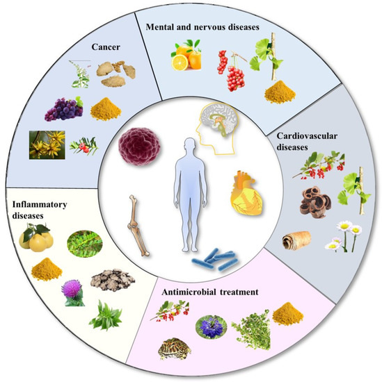 Herbal Medicine Nanocrystals: A Potential Novel Therapeutic Strategy
