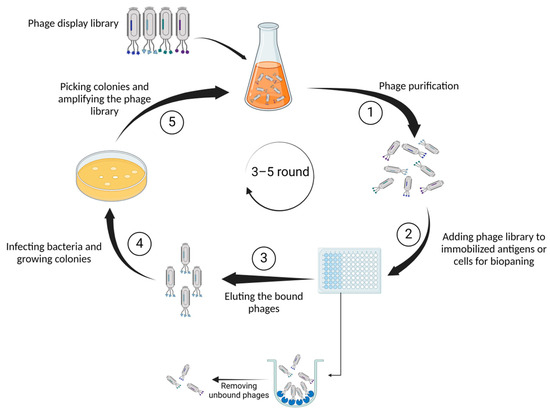 Phage Display Technology in Biomarker Identification with Emphasis on ...
