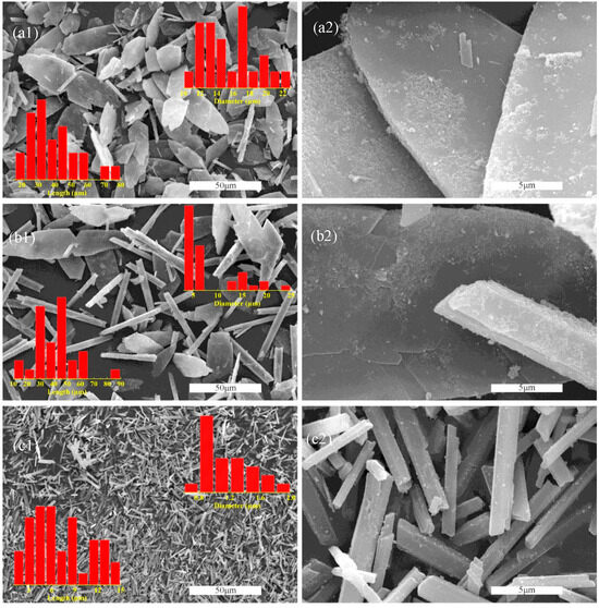 High-Efficiency Purification and Morphology Regulation of CaSO4·2H2O ...