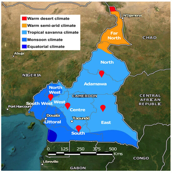 Exploring the Phytochemical Diversity and Anti-Plasmodial Potential of ...