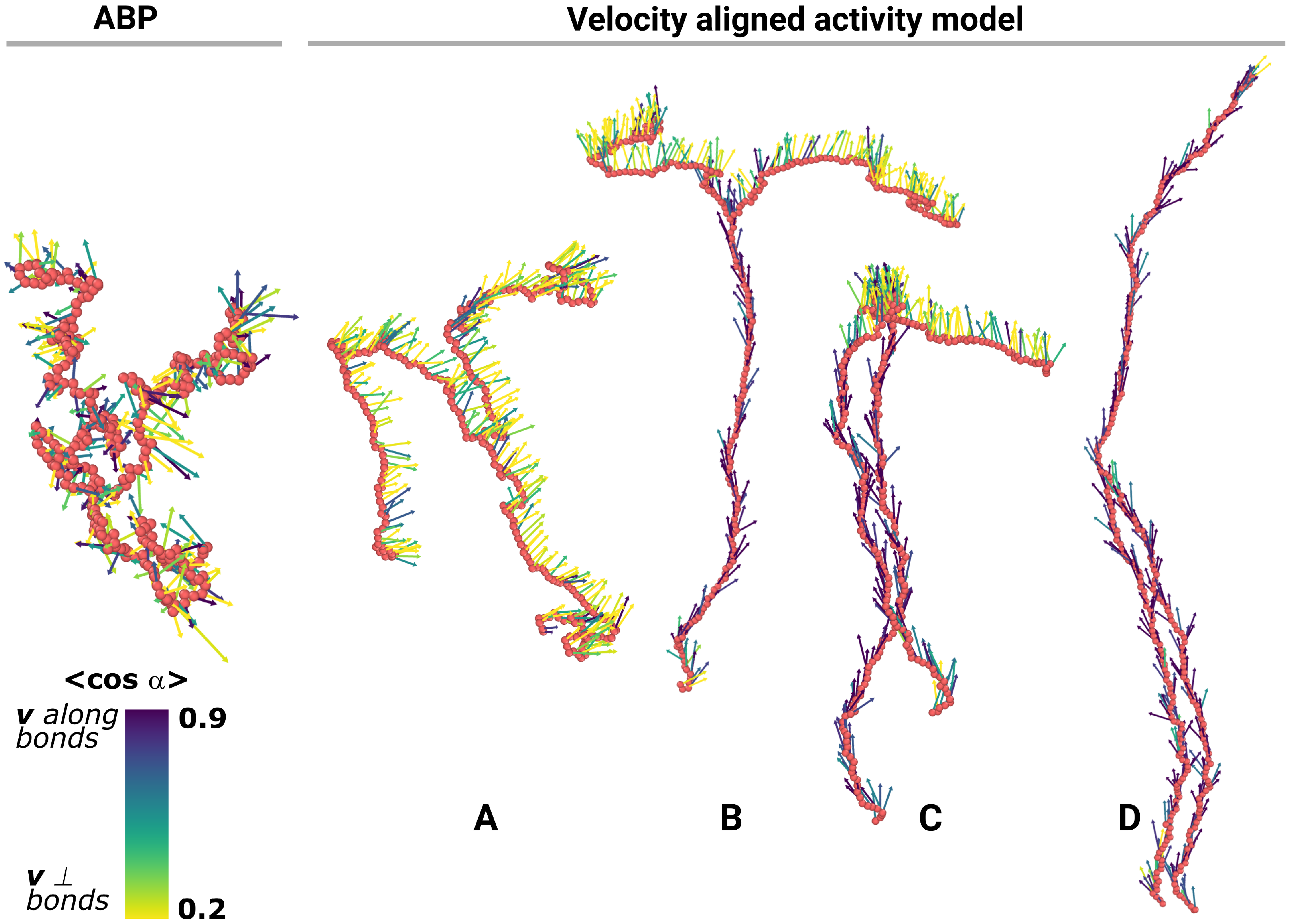 Polymer Systems with Correlated Activity: Stars Versus Linear Chains